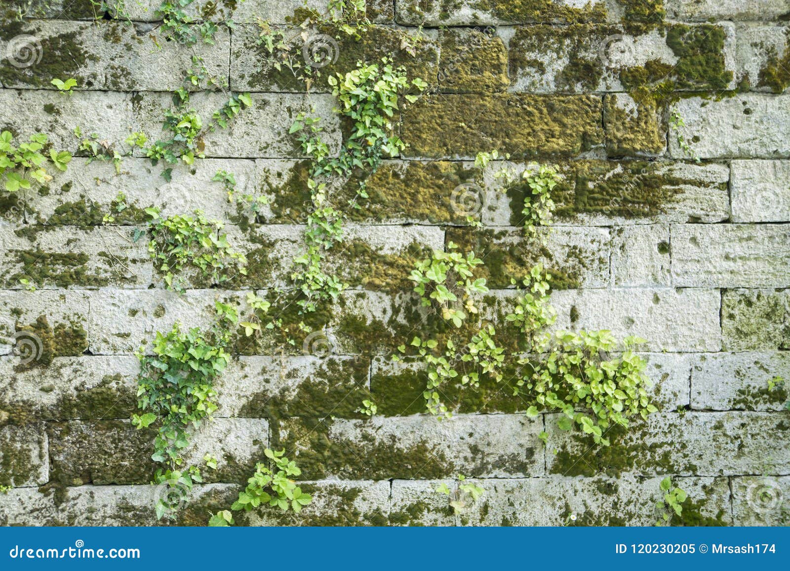 Texture of the Castle Wall Old Masonry Stock Image - Image of castle ...