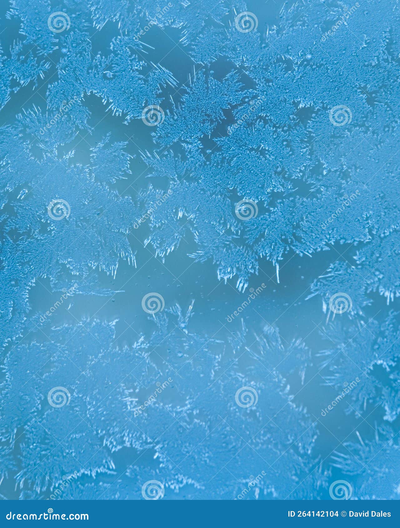 Patterns on a Frozen Window. Stock Photo - Image of pane, blue: 264142104