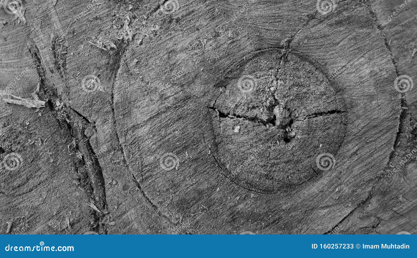 The Texture of the Ceiba Pentandra or Kapok Tree Stock Image - Image of ...