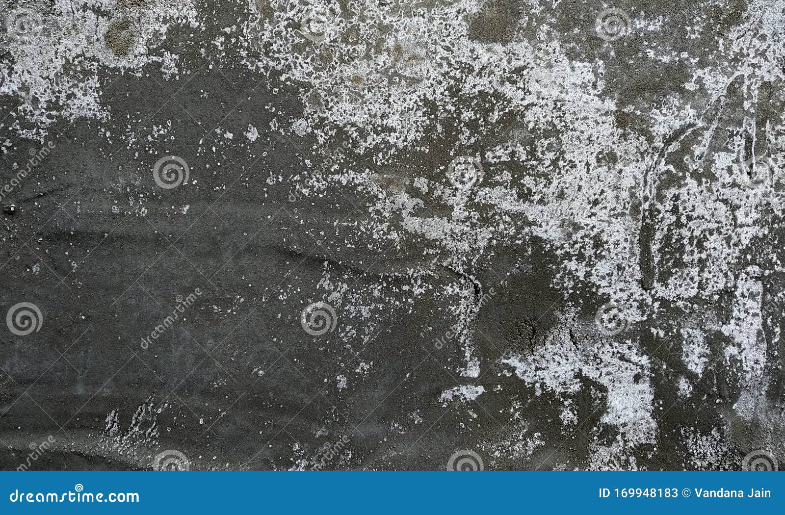 Texture.Cement Texture.Tileable Stone Texture.Texture.Abstract Stone ...