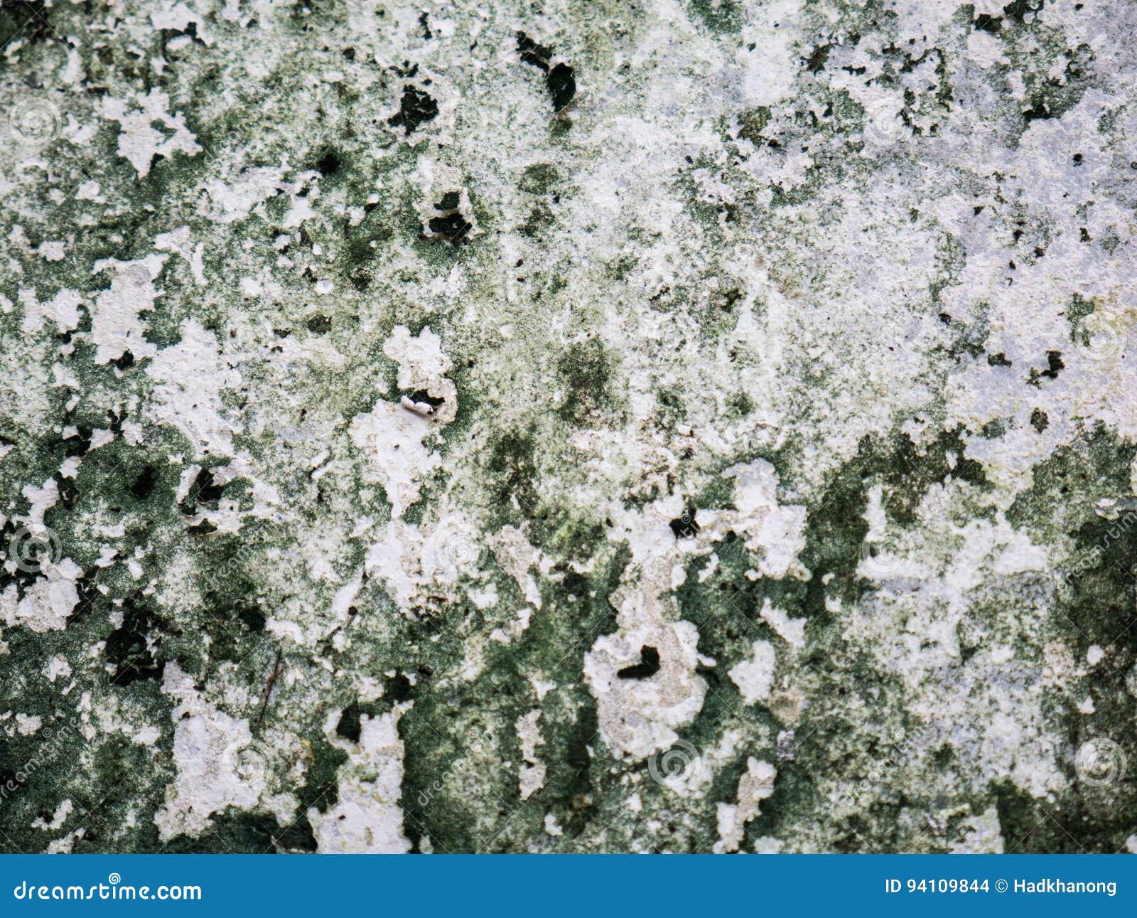 Texture Cement Wall Background with Moss Stock Photo - Image of grunge ...