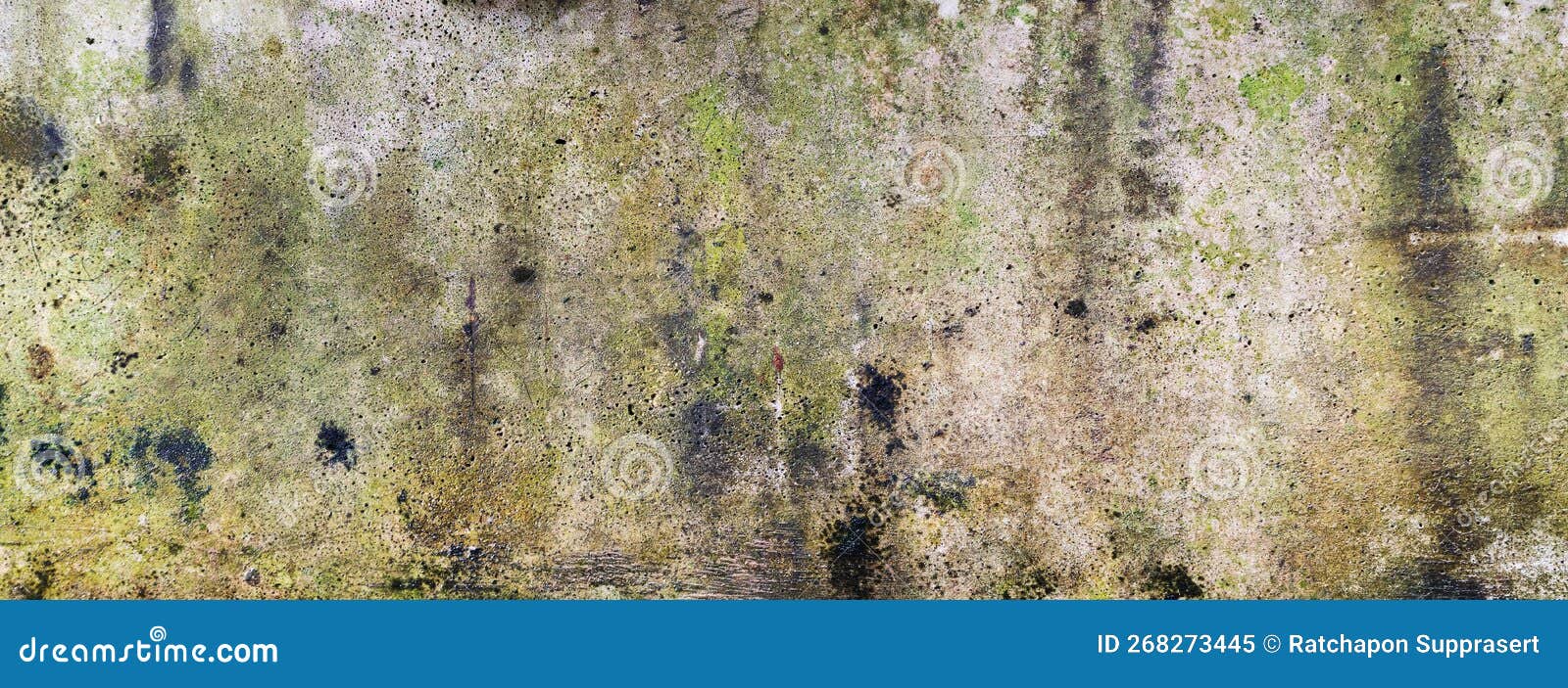 Texture Cement Wall with Moss Stock Image - Image of cement, concrete ...