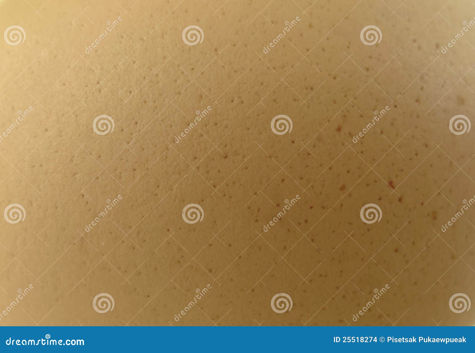 Texture of chicken egg stock photo. Image of oval, eggshell - 25518274