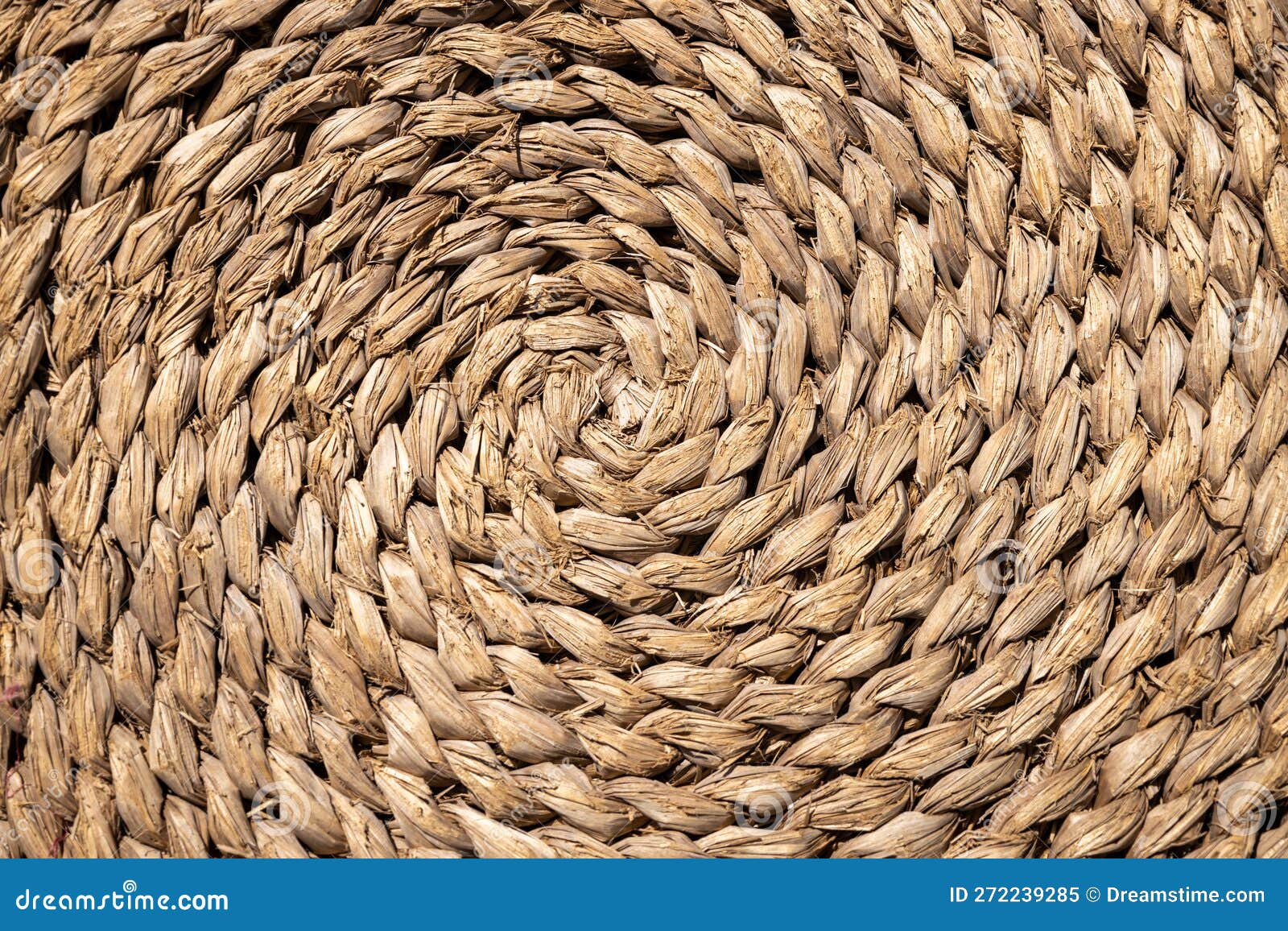 Circular Palm Tree With Water Drop And Nature Leaf Royalty-Free Stock ...