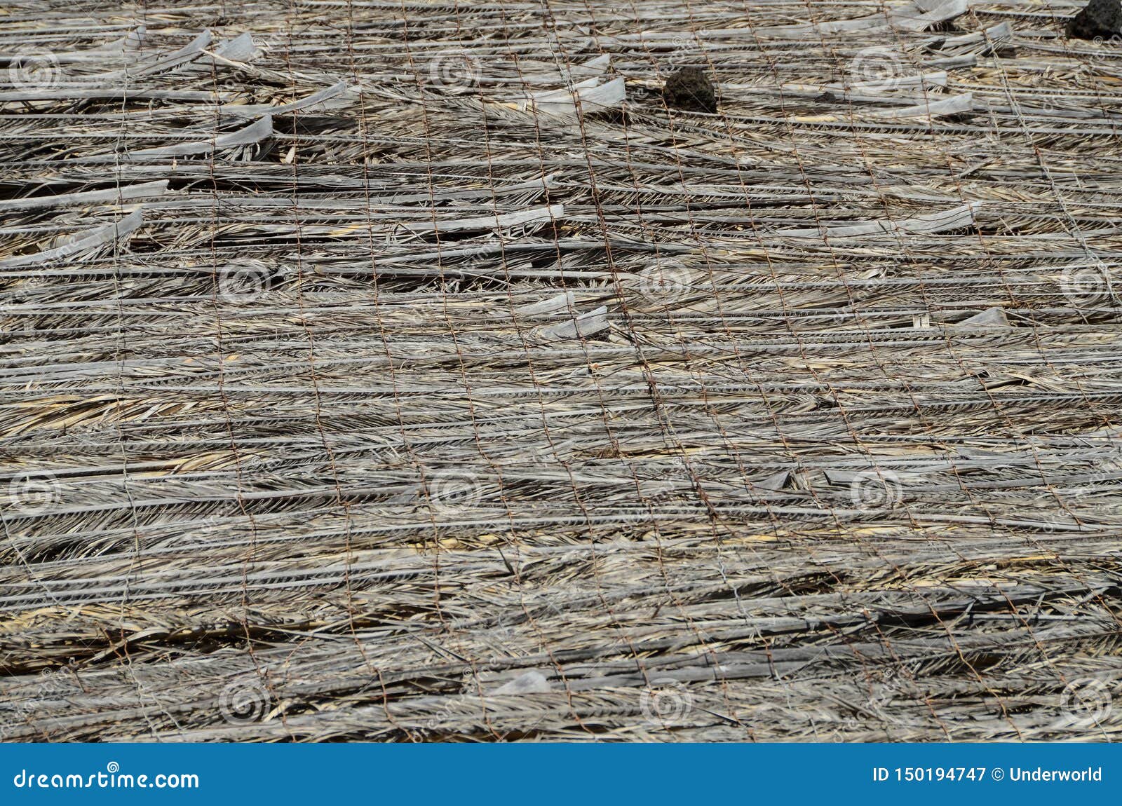 Texture of the Classic Thatch Roof Stock Image - Image of architecture ...