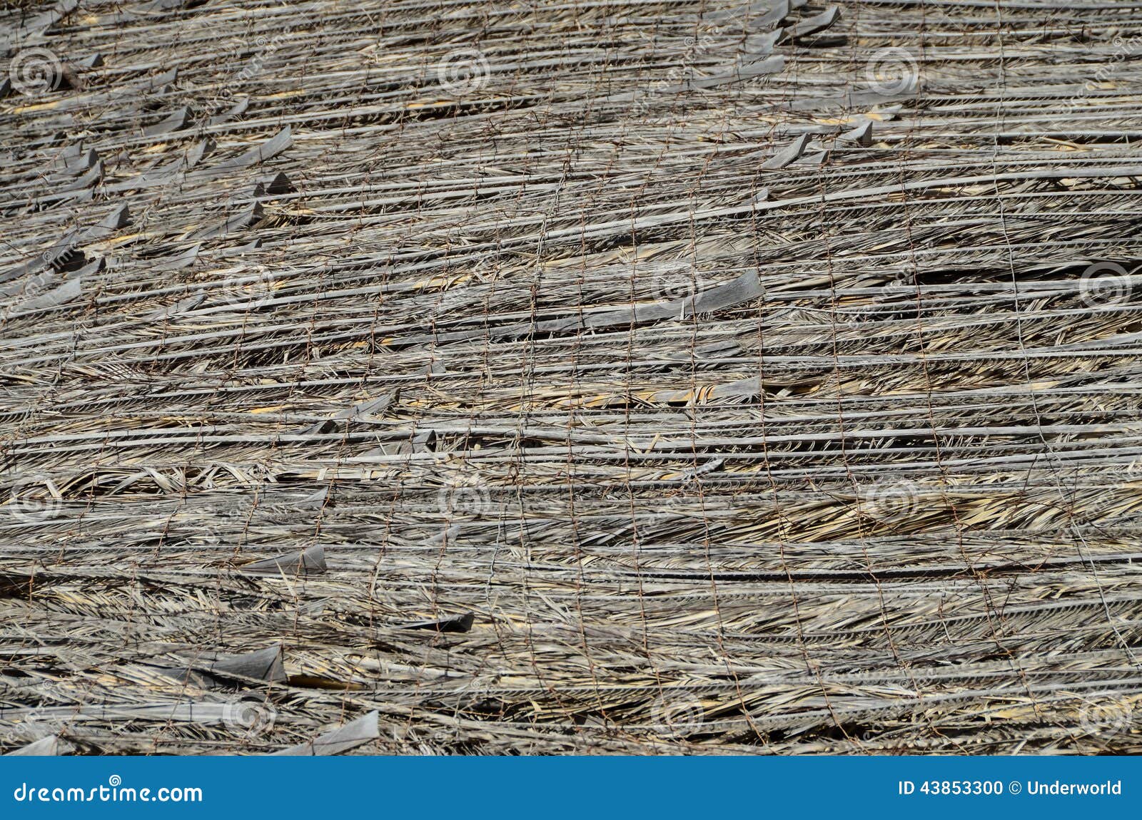 Texture of the Classic Thatch Roof Stock Photo - Image of house, grass ...