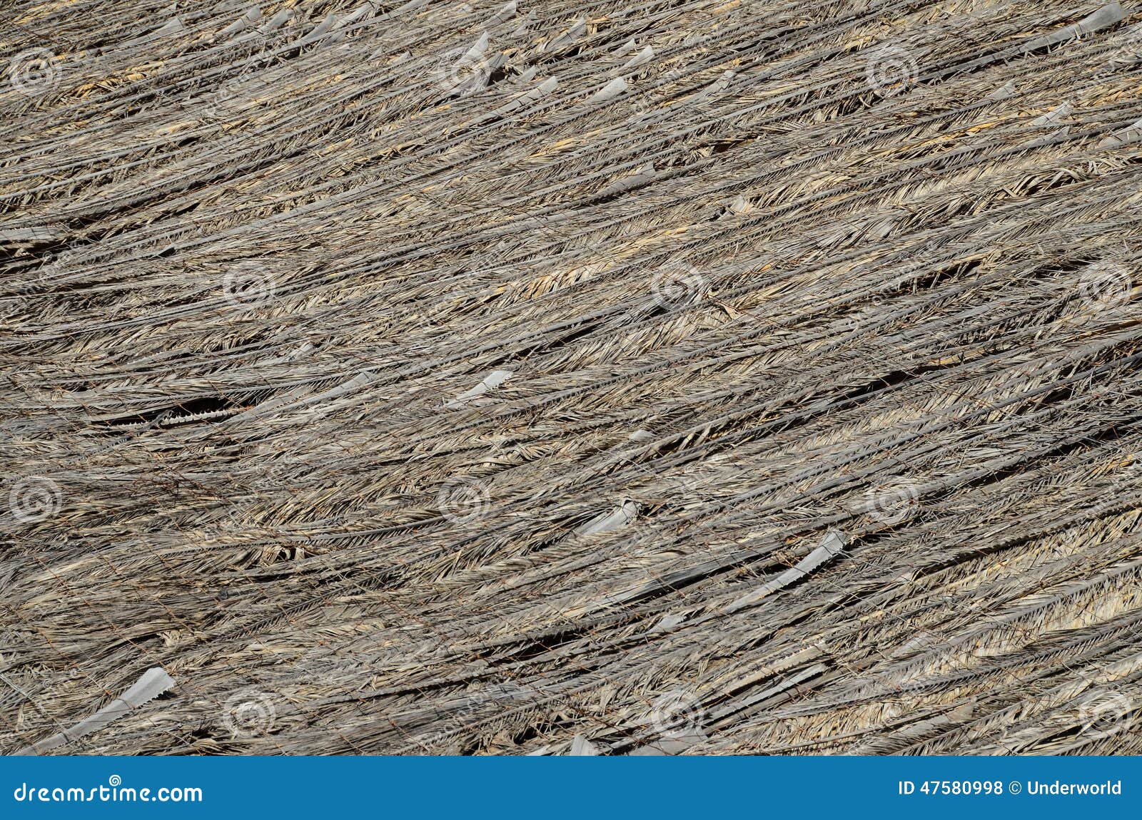 Texture of the Classic Thatch Roof Stock Photo - Image of pattern, leaf ...
