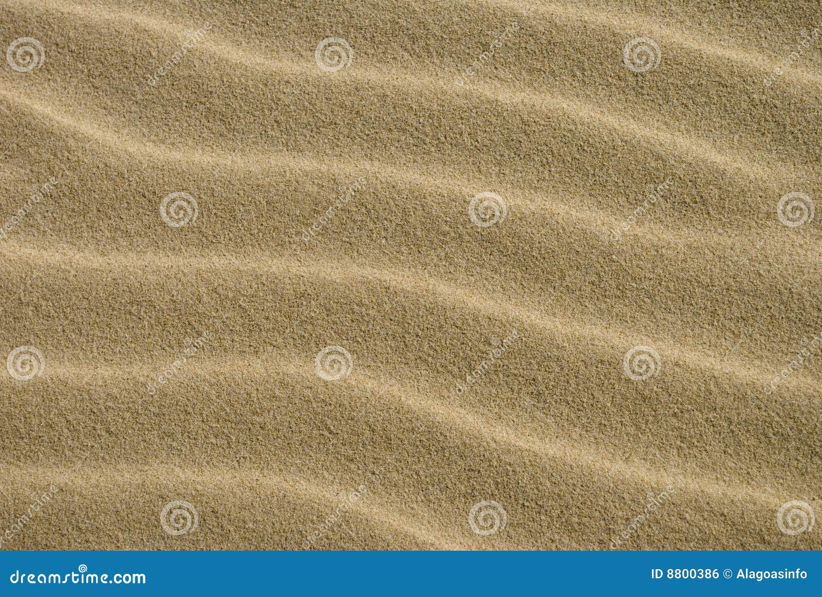 Texture Close Up of Sand 1 stock photo. Image of vacation - 8800386