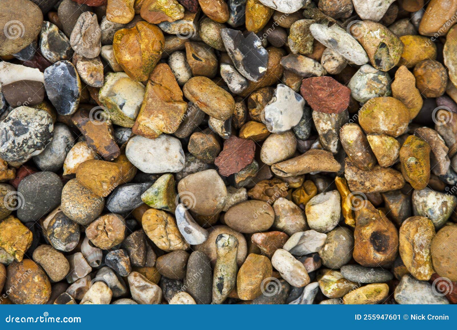 Texture: Close Up of Multi Colored Pebbles Rocks / Aggregate Background ...