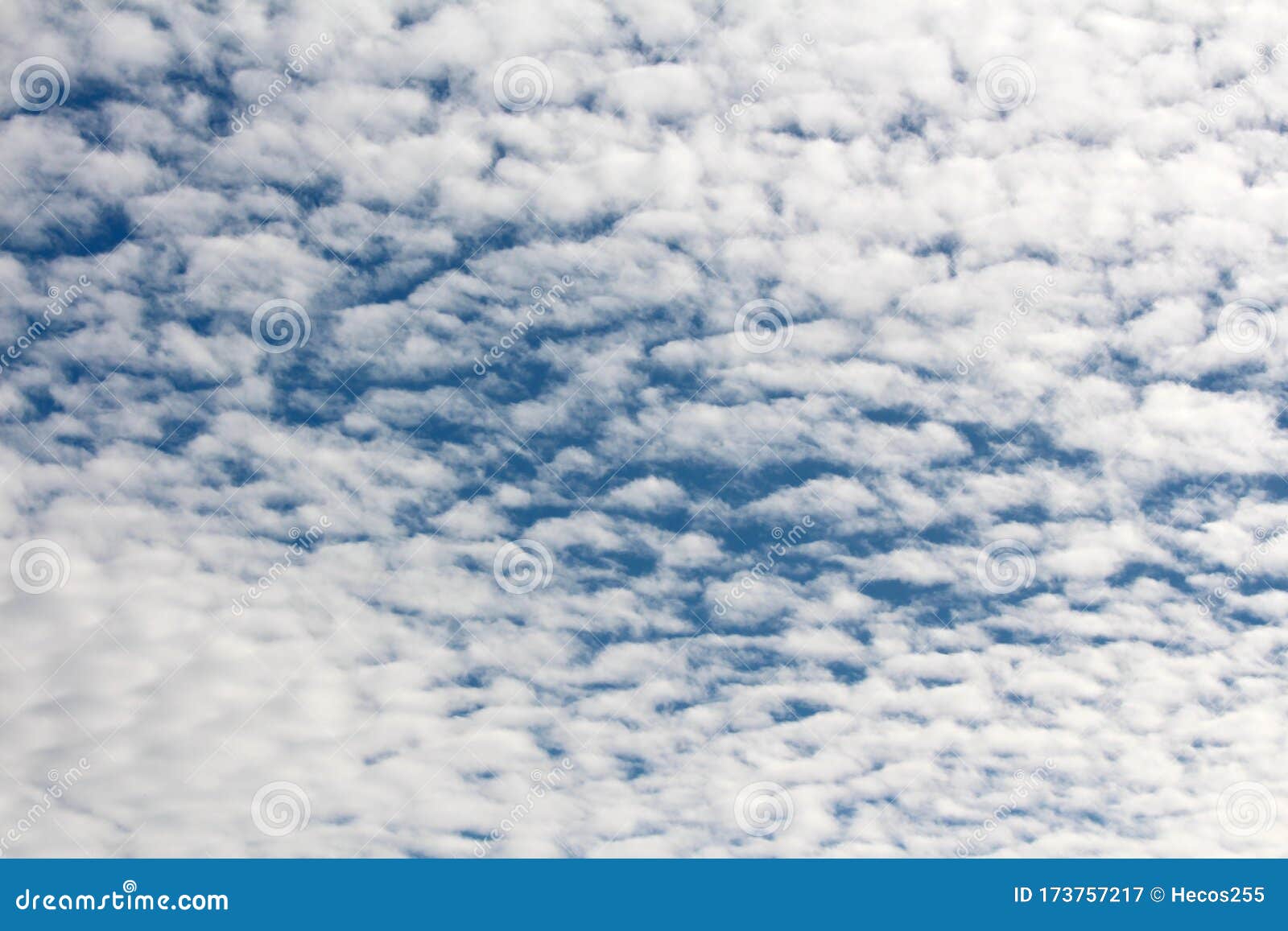 Texture of Cloudy Blue Sky with Rows of Small Fluffy White Clouds on ...