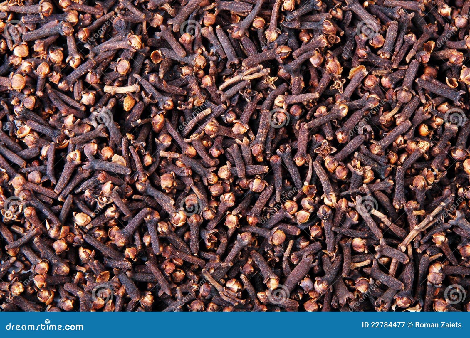 Texture of cloves stock image. Image of gourmet, spice - 22784477