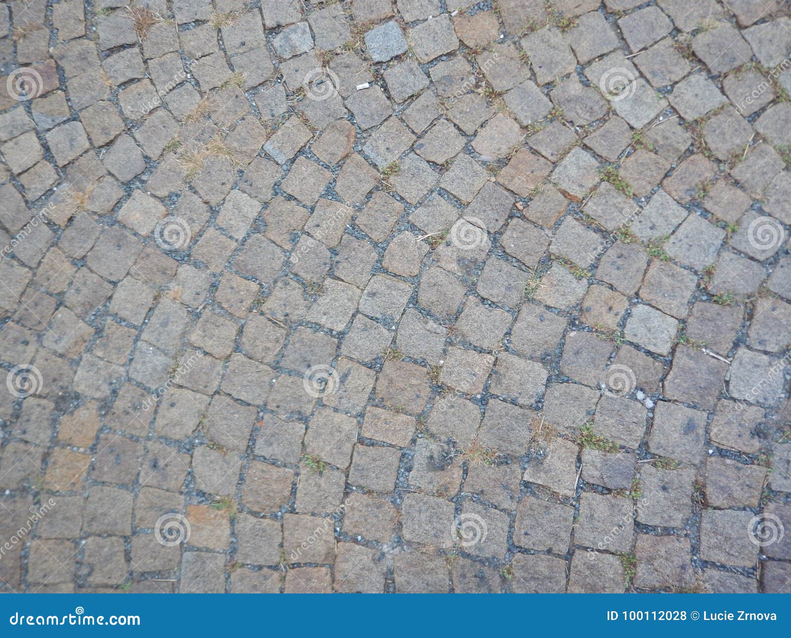 Texture of a Cobble Stone Street Stock Photo - Image of paving, mosaic ...