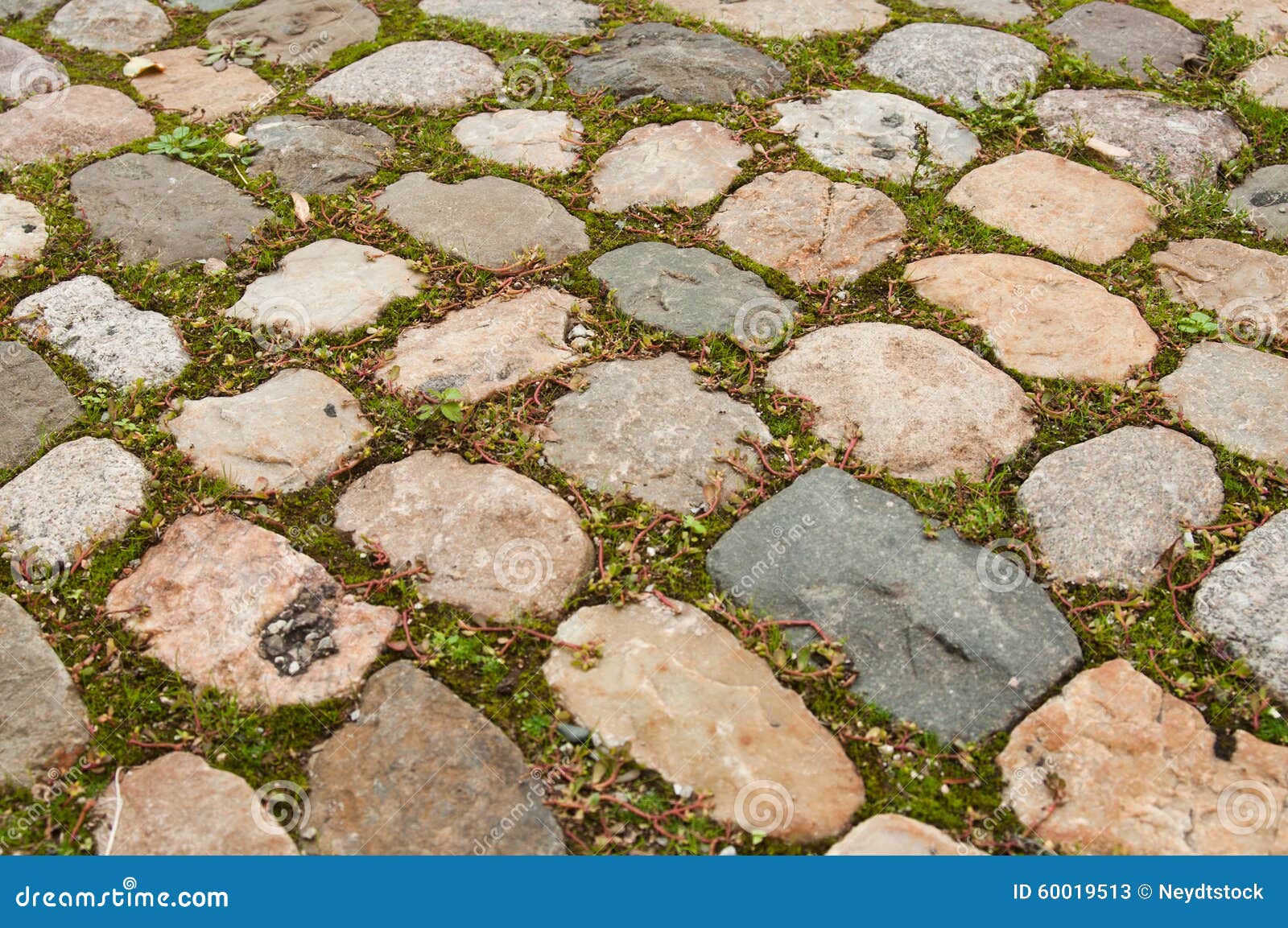 Texture of cobbles stock image. Image of landscape, abstract - 60019513