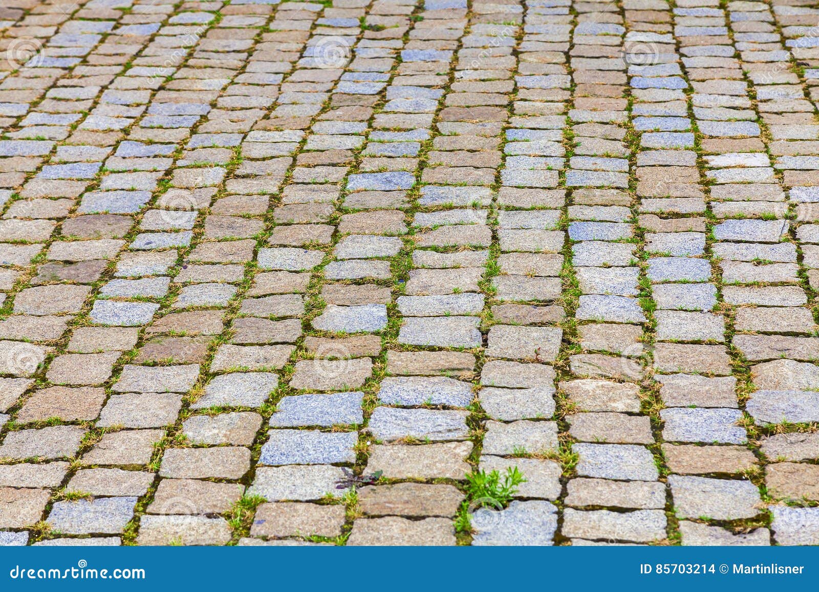 Texture of Cobbles with Grass Stock Photo - Image of environment, steps ...