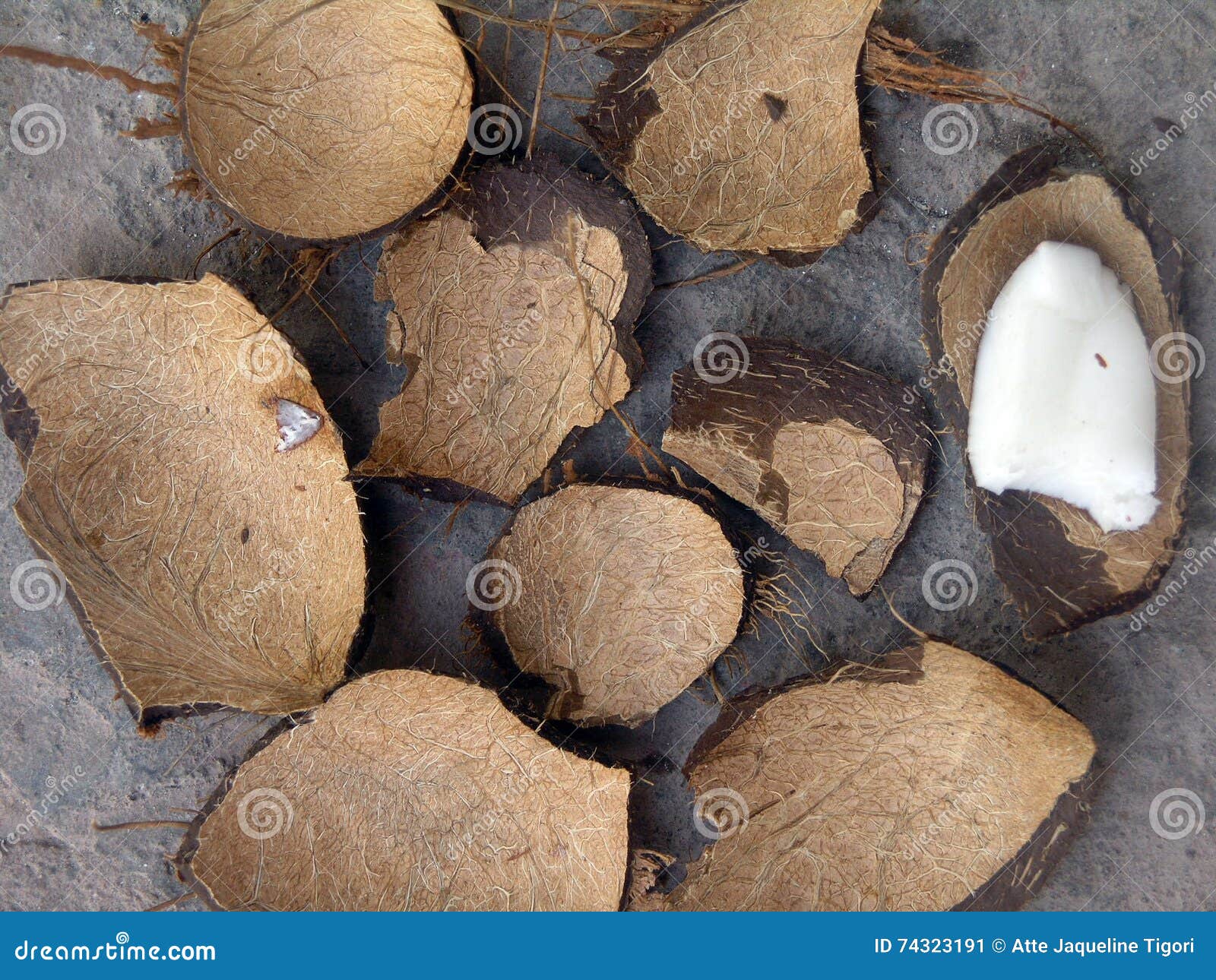 TEXTURE of COCONUT BREAKING Stock Image - Image of special, texture ...