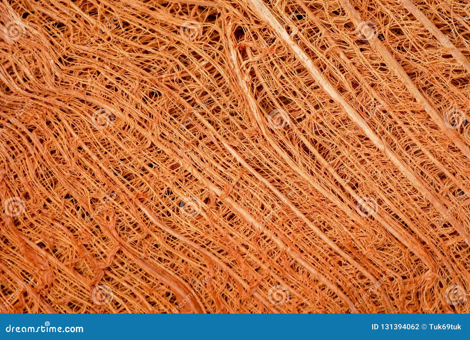 Texture Coconut Fiber Abstract Background Stock Photo - Image of ...
