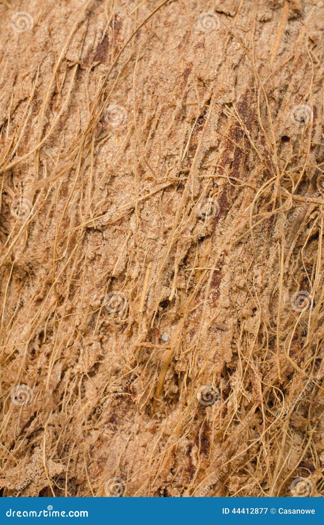 Texture of Coconut Fiber for Background Stock Image - Image of husk ...