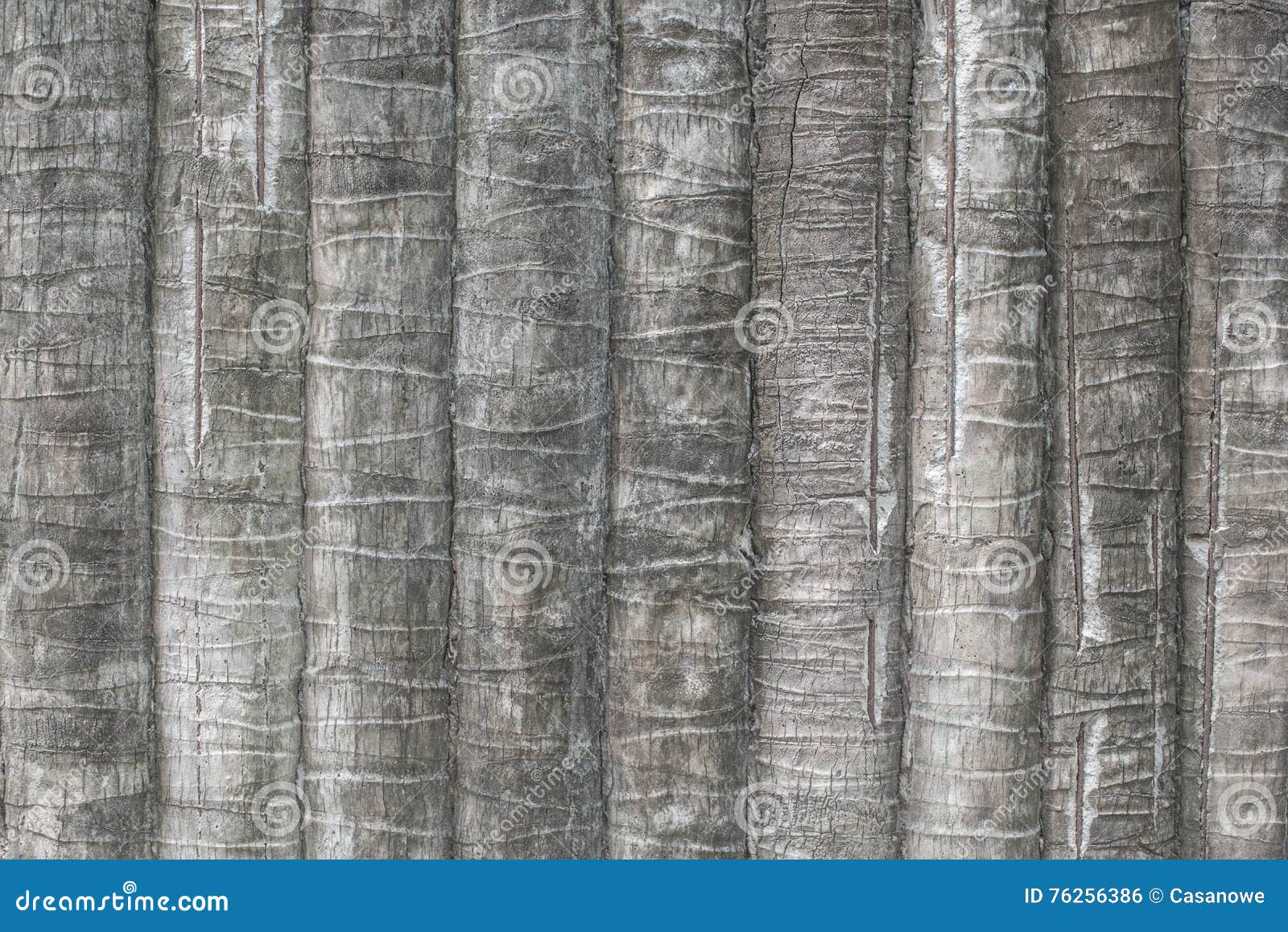 Texture Of Coconut Or Palm Tree Bark For Background Royalty-Free Stock ...