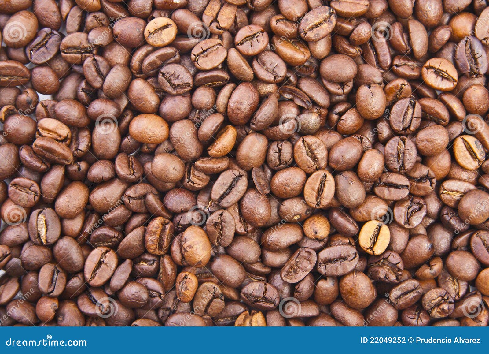 Texture of coffee beans stock photo. Image of cinnamon - 22049252