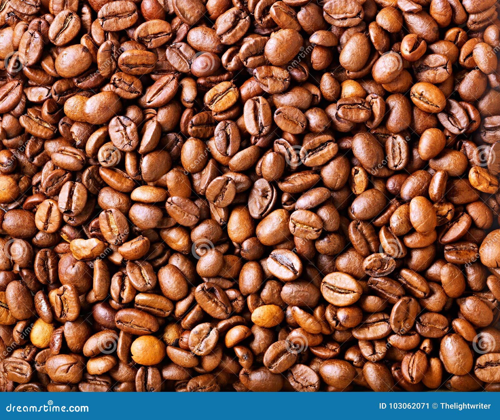 Texture of Coffee Beans As Background Stock Image - Image of seed ...