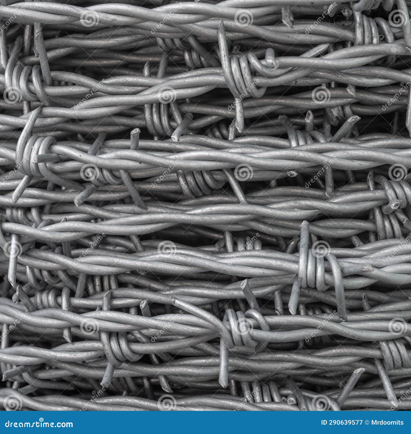 Texture of Coiled Barbed Wire Stock Image - Image of protect, danger ...