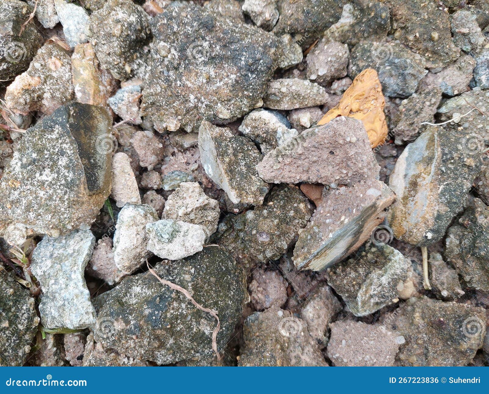 Texture of a Collection of Rocks Stock Photo - Image of trunk, rocks ...
