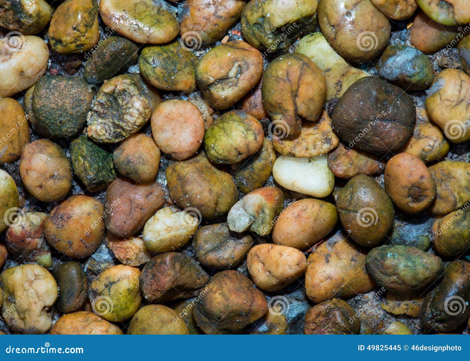 Texture Of Color Pebble Stone Royalty-Free Stock Photography ...