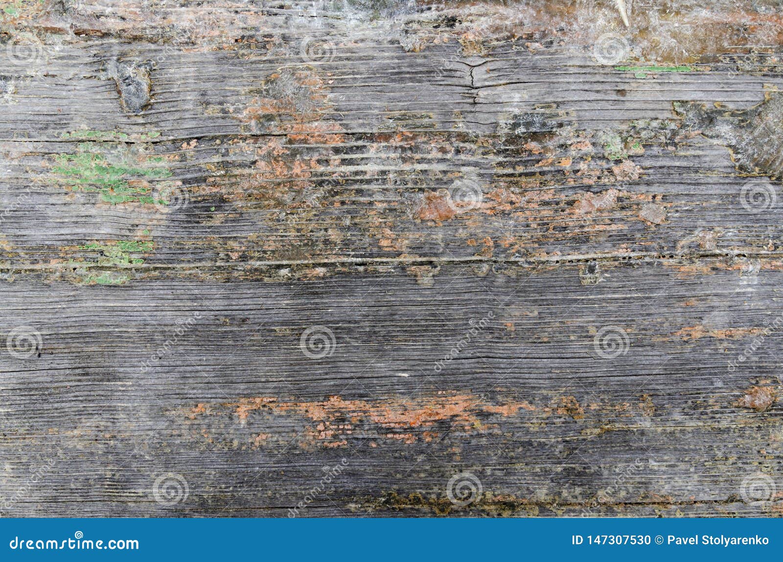 Texture of Colored Rustic Wood Texture Stock Photo - Image of black ...