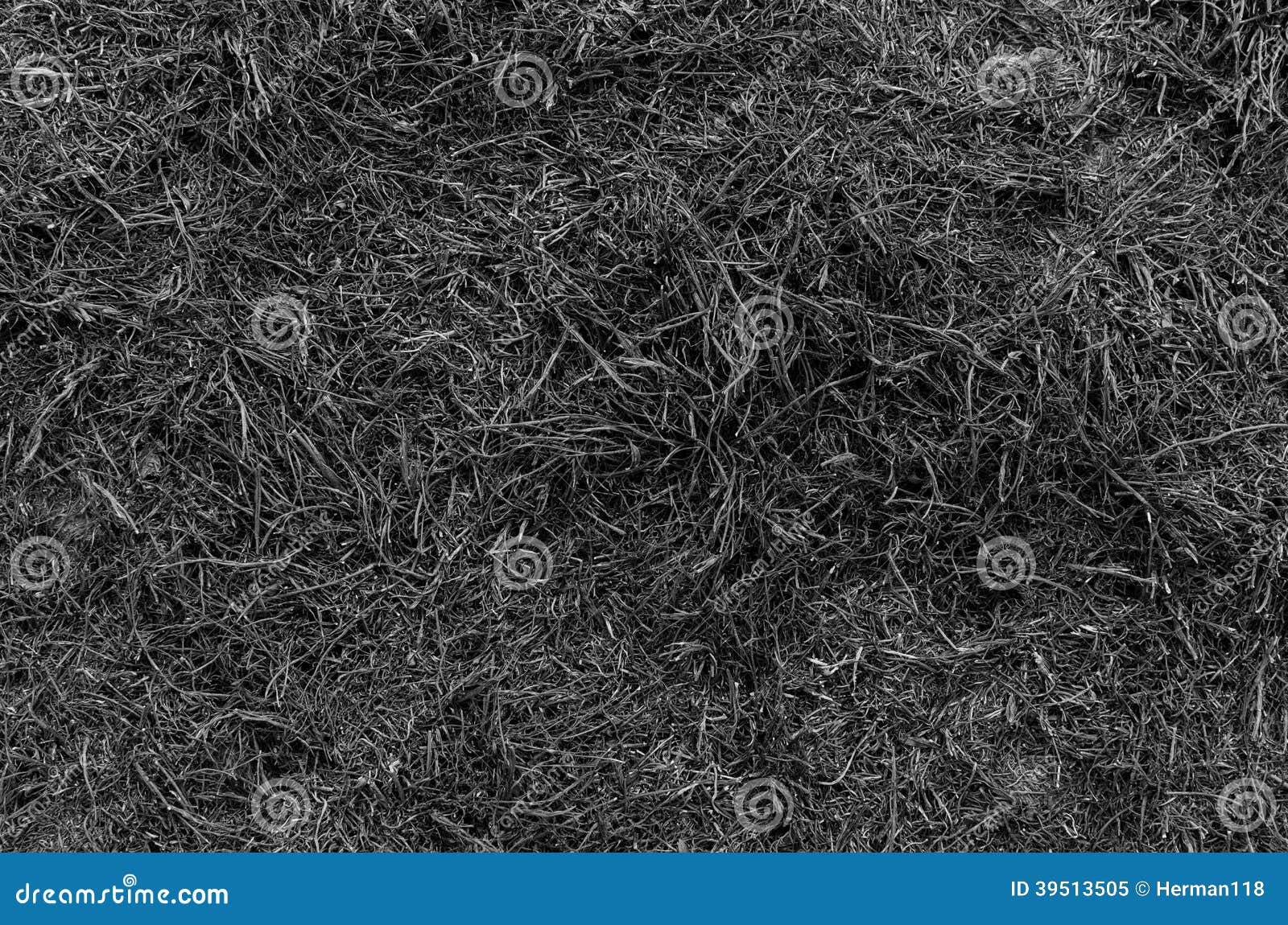 Texture after Combustion Hay Stock Image - Image of plant, black: 39513505