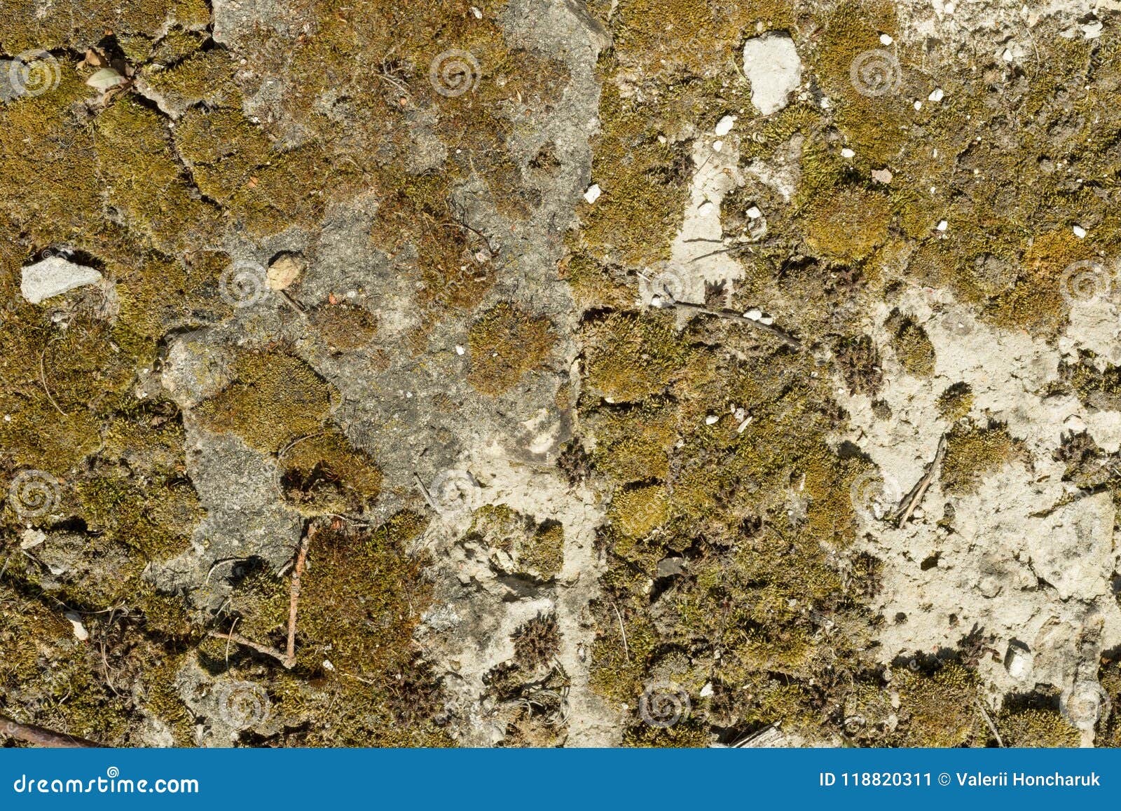 Texture of Concrete, Cement, Old Moss Covered Background, Stock Image ...