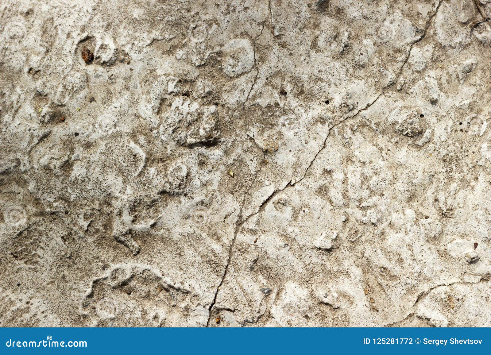 Texture of Concrete in Different Colors Stock Photo - Image of mortar ...
