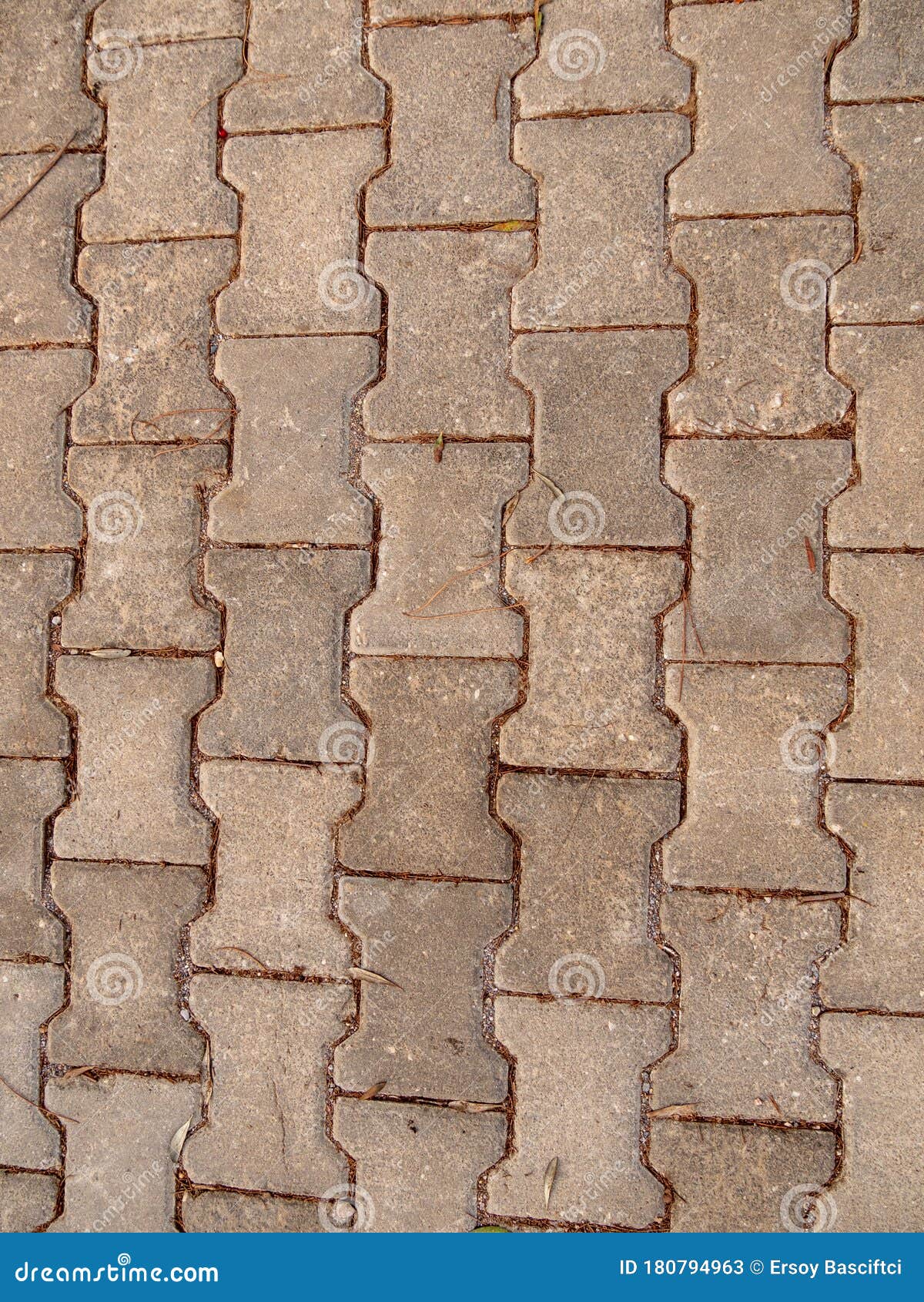 The Texture of the Concrete Paved Tile on the Street Stock Image ...