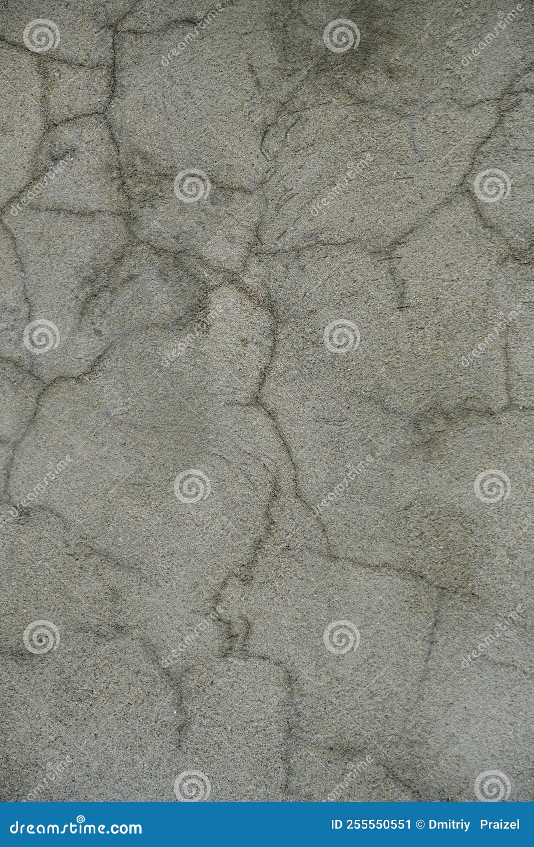 Texture Concrete Surface with Cracks after Moisture Ingress Stock Image ...