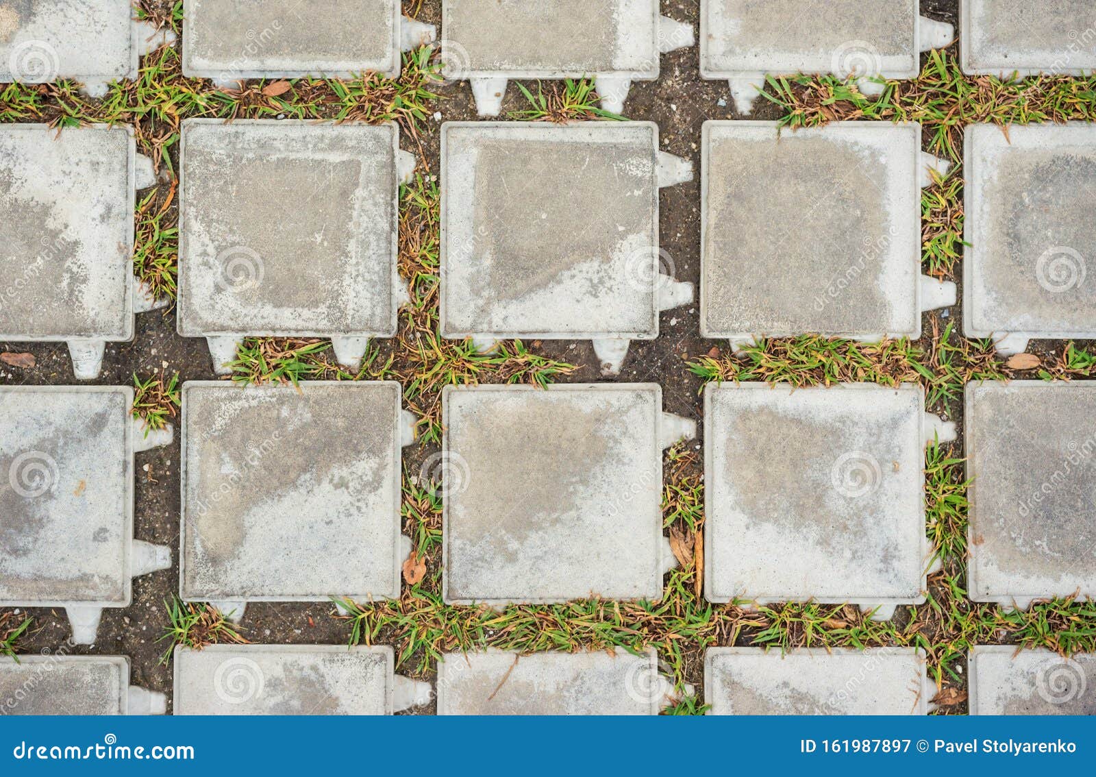 Texture of Concrete Tiles with Sprouted Grass Stock Image - Image of ...