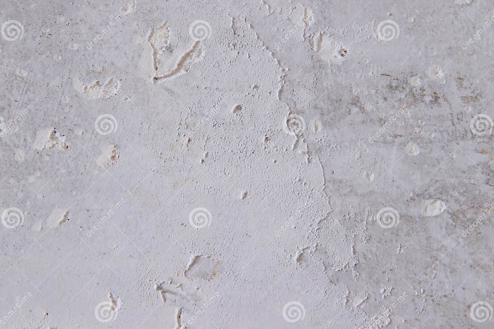 Texture Concrete Wall with Putty. a Thin Layer of Putty Stock Photo ...
