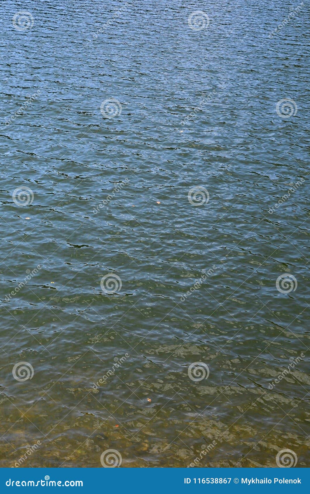 Texture of Contaminated River Water. the Consequences of Pollution ...