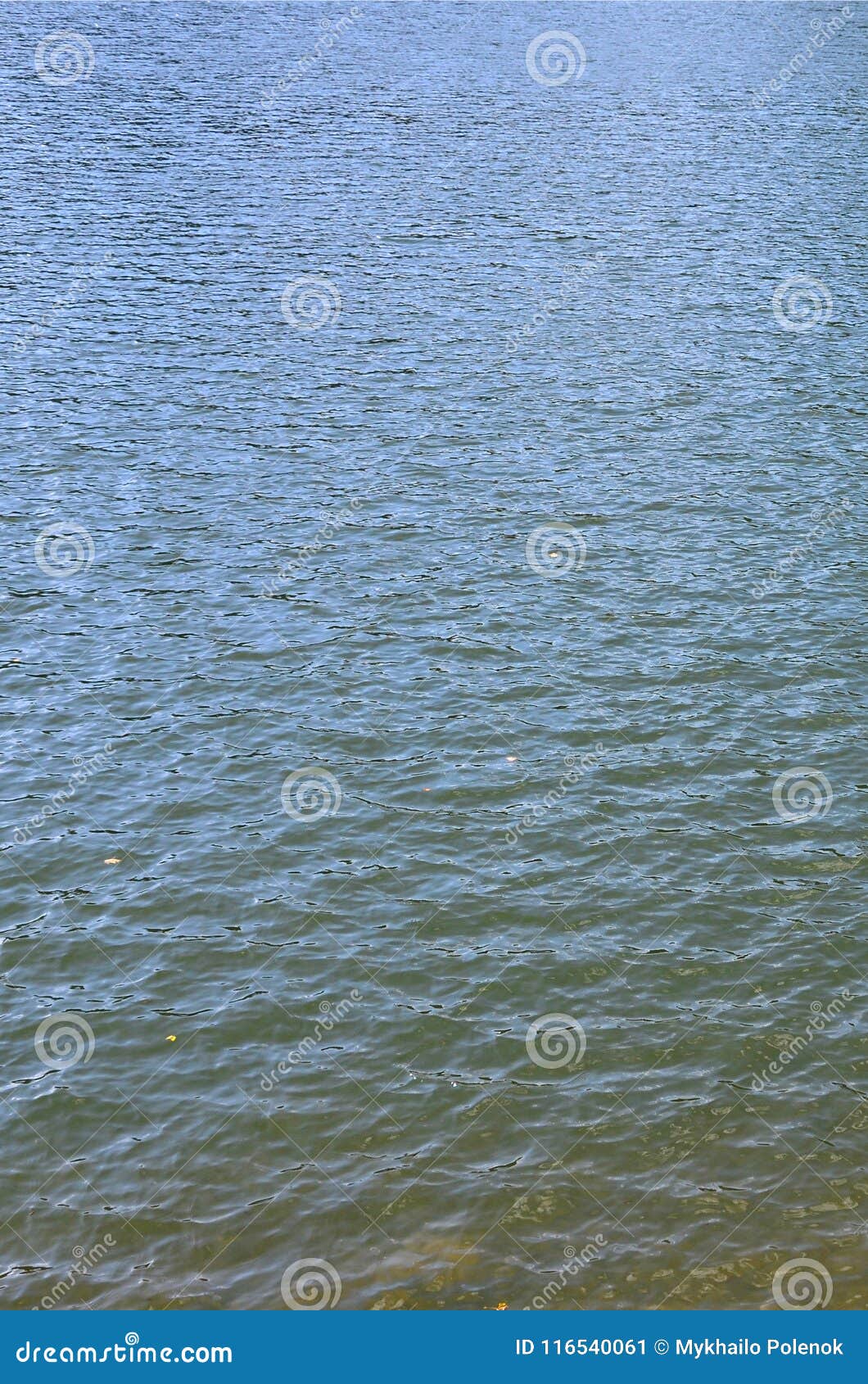 Texture of Contaminated River Water. the Consequences of Pollution ...