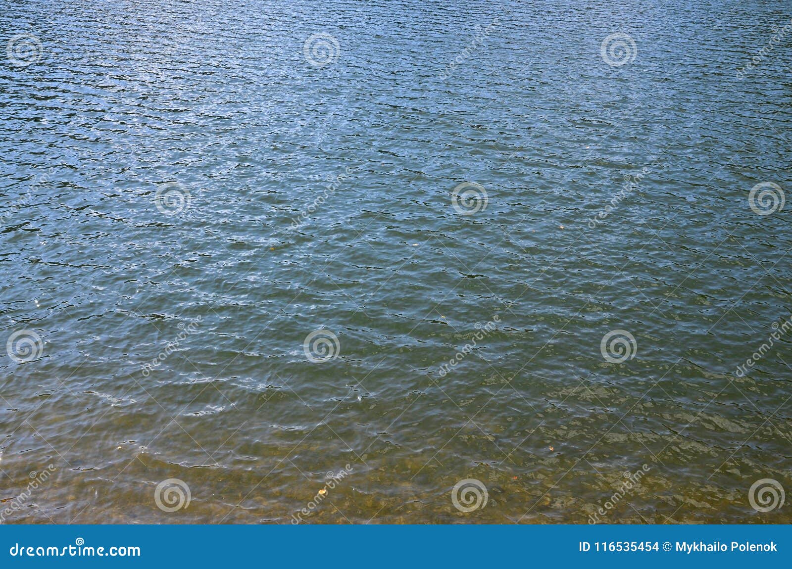 Texture of Contaminated River Water. the Consequences of Pollution ...