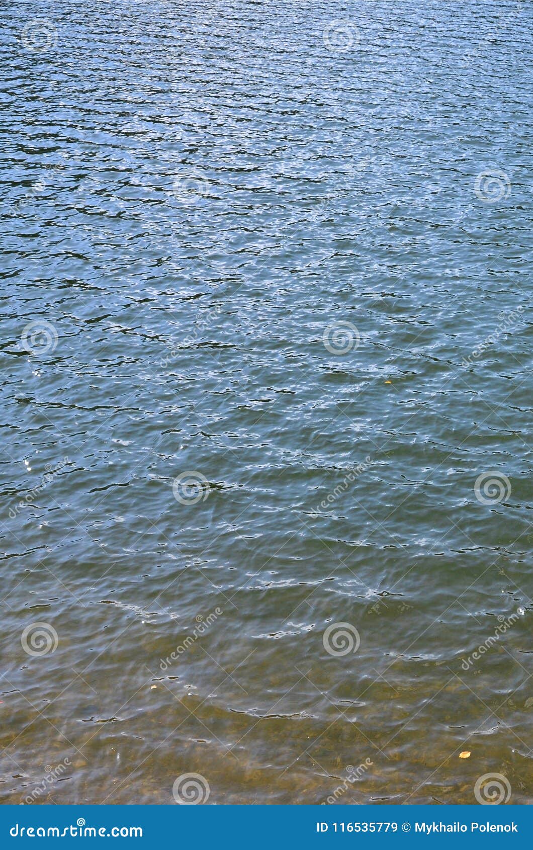 Texture of Contaminated River Water. the Consequences of Pollution ...