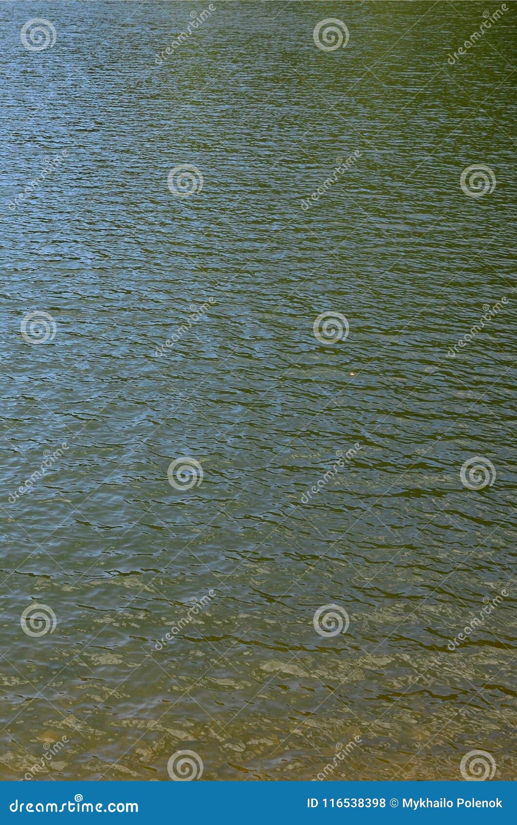 Texture of Contaminated River Water. the Consequences of Pollution ...