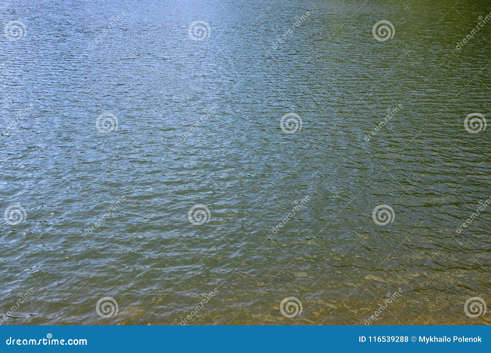 Texture of Contaminated River Water. the Consequences of Pollution ...