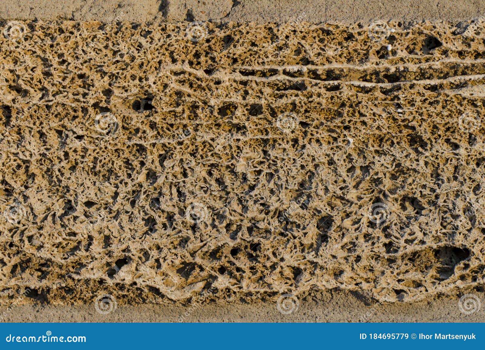 The Texture of the Coquina. Spongy Surface Structure of the Stone Rock ...
