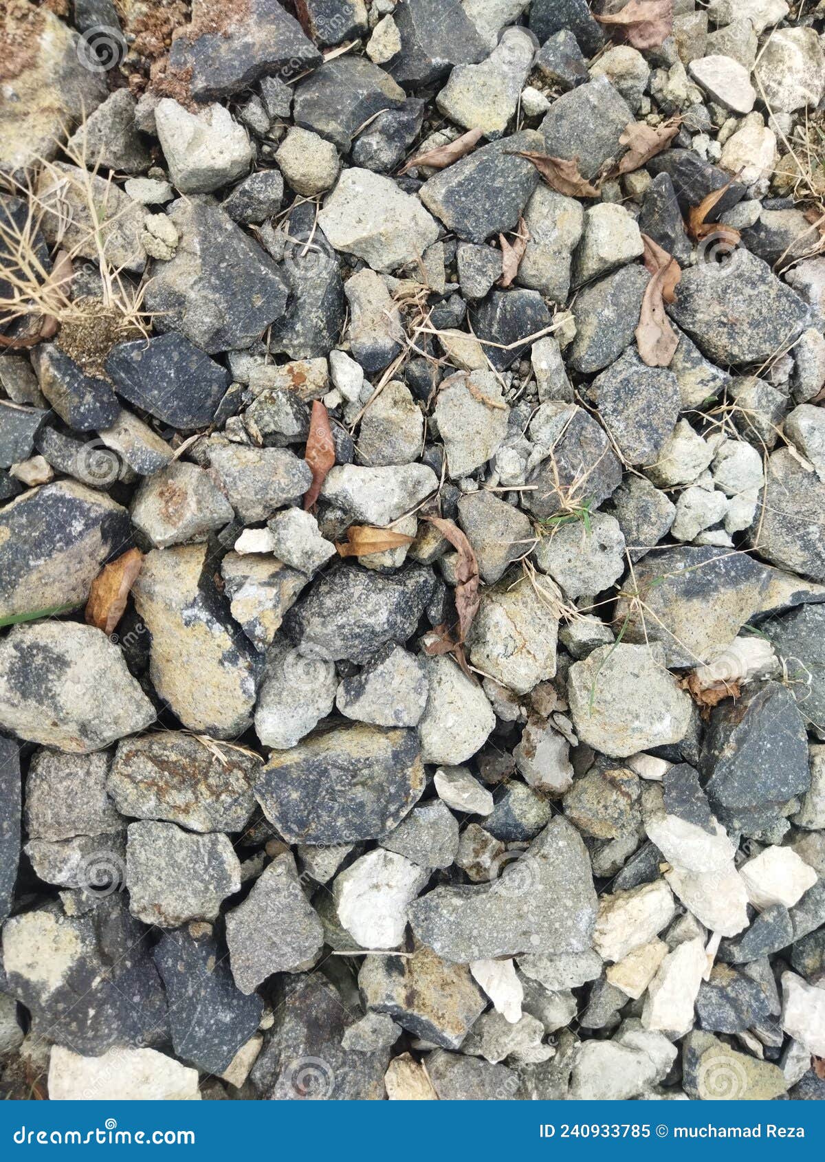 Texture coral stone stock image. Image of boulder, brickwork - 240933785