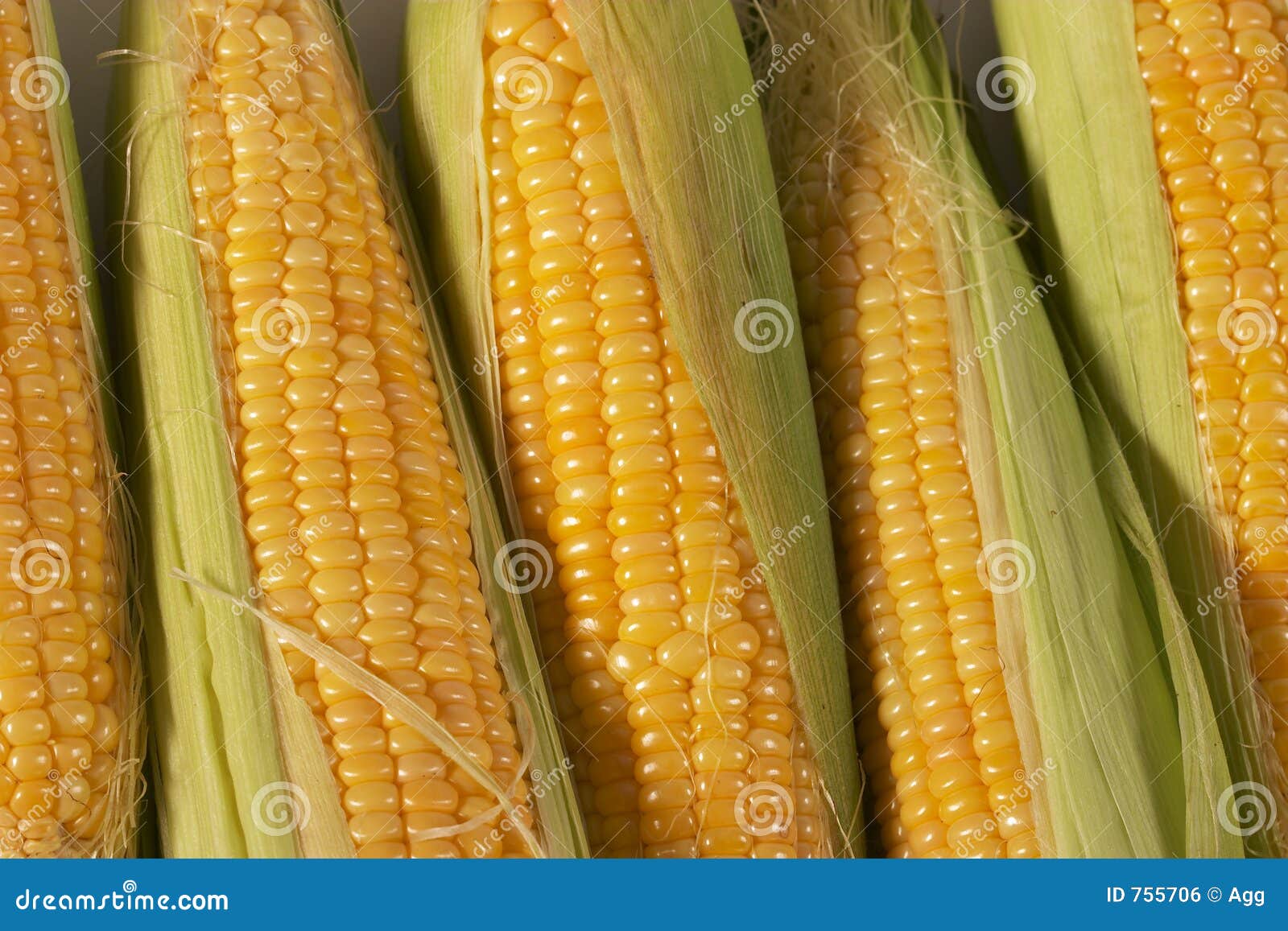 Texture corn stock photo. Image of vitamin, tasty, cook - 755706