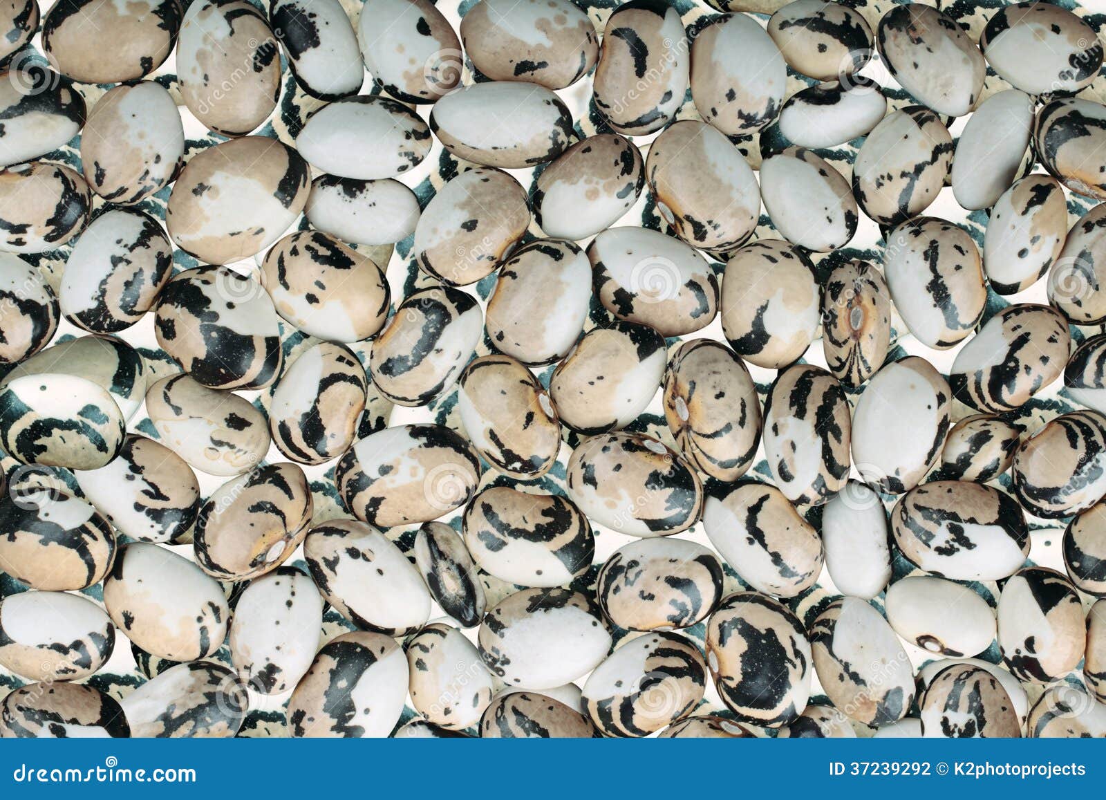 Texture Corn beans stock photo. Image of pattern, vegetable - 37239292