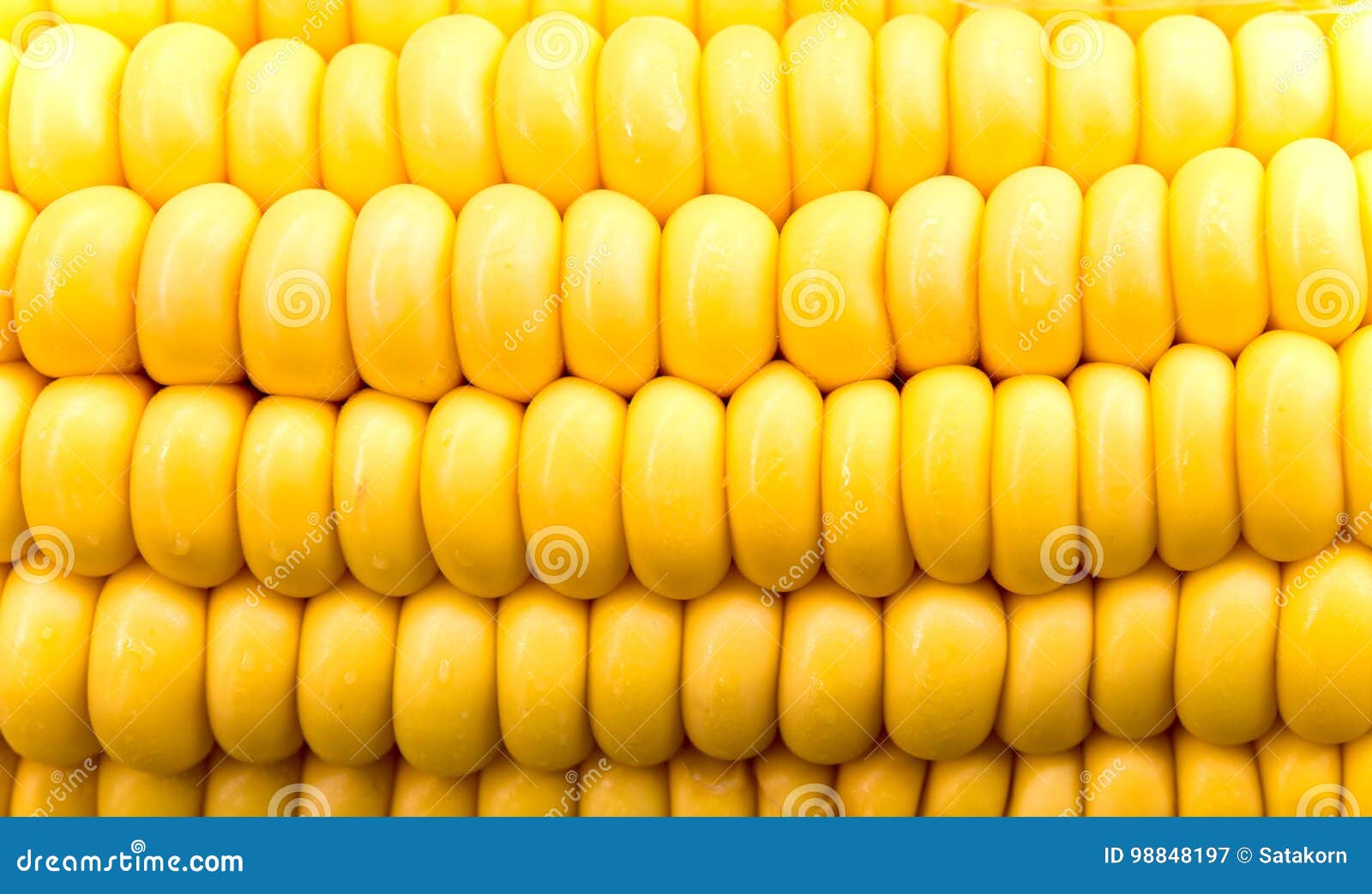 Texture of Corn Cob Sweet Maize Stock Image - Image of healthy, detail ...