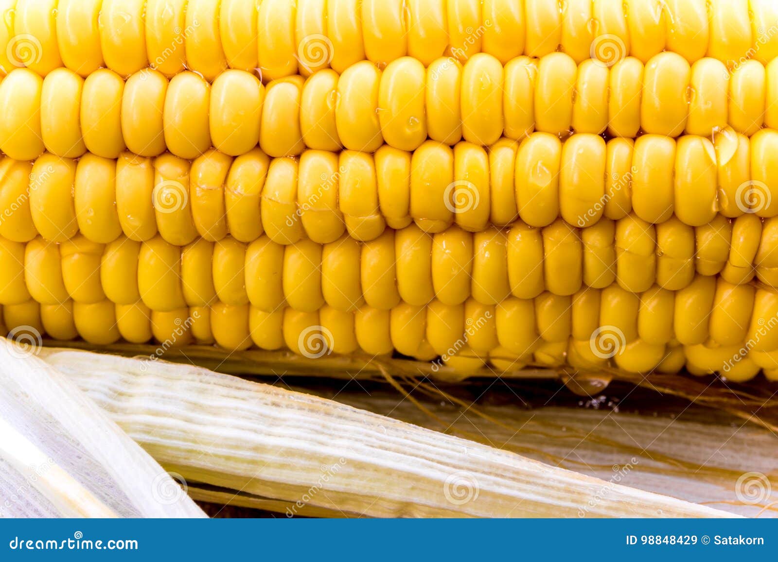 Texture of Corn Cob Sweet Maize Stock Image - Image of healthy ...