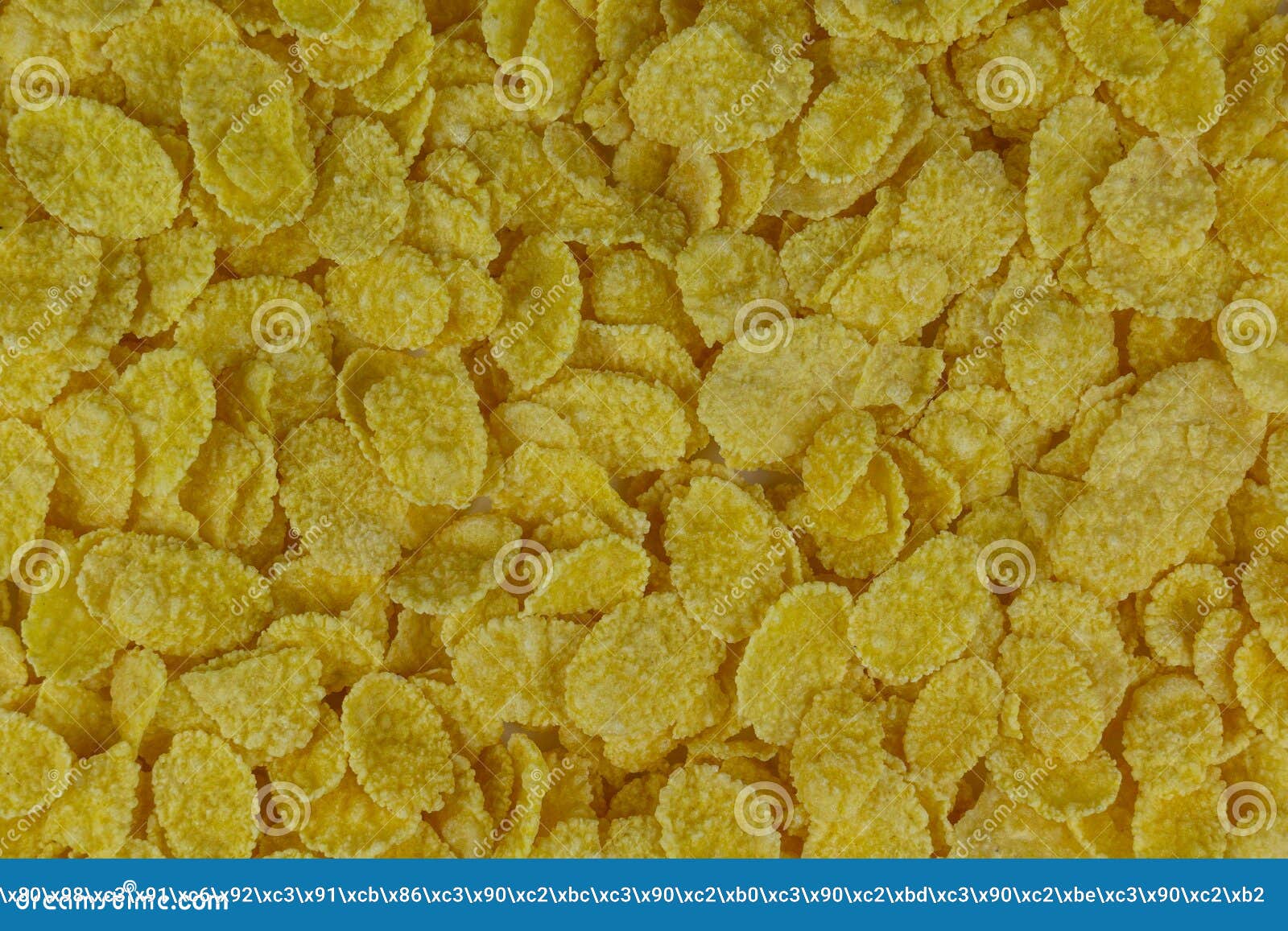 Texture of corn flakes stock photo. Image of healthy - 167573714