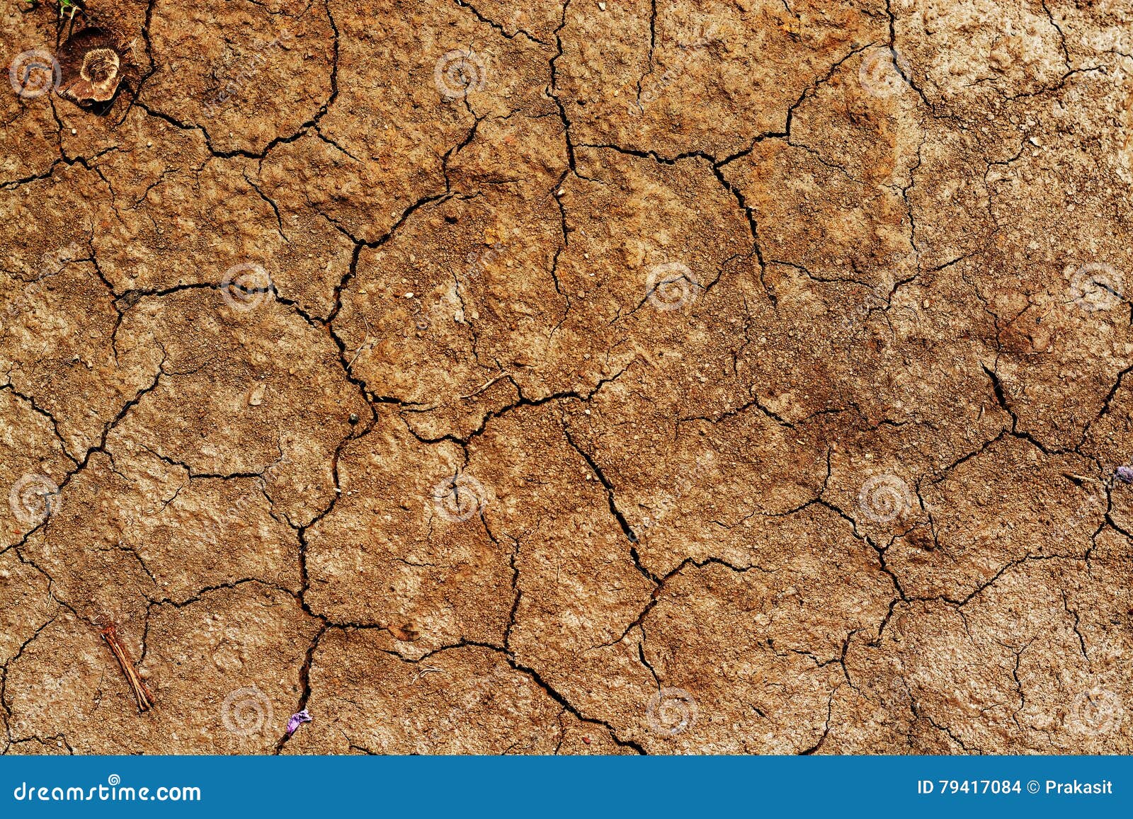 Texture of crack clay stock photo. Image of erosion, dirt - 79417084