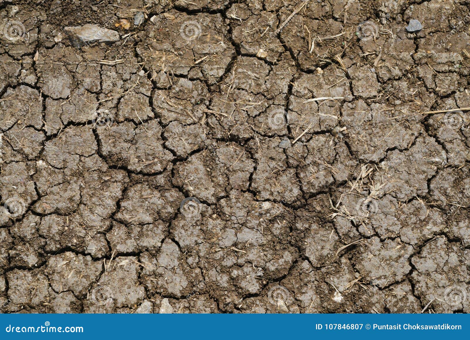 Texture of Crack Dry Solid. Stock Image - Image of pattern, paint ...